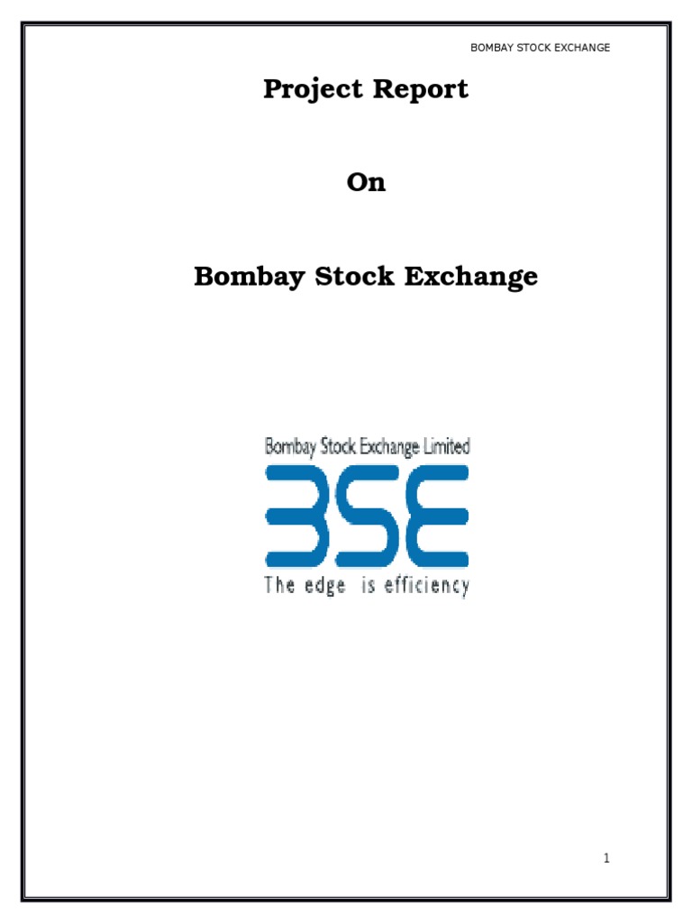 BSE-Overview of Bombay Stock Exchange | PDF | Stocks | Financial Markets