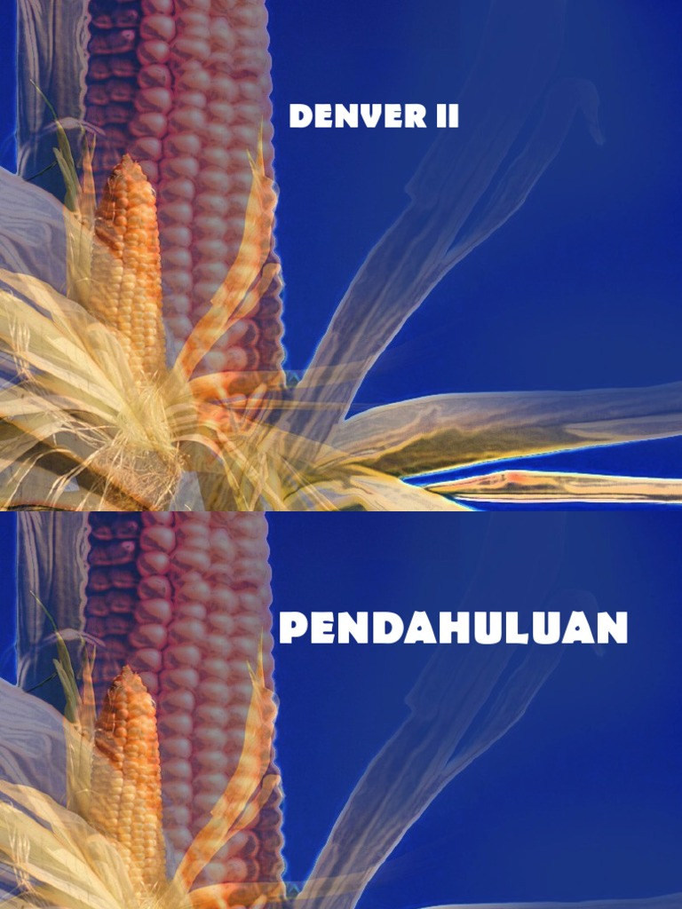 SKRINING DENVER II | PDF