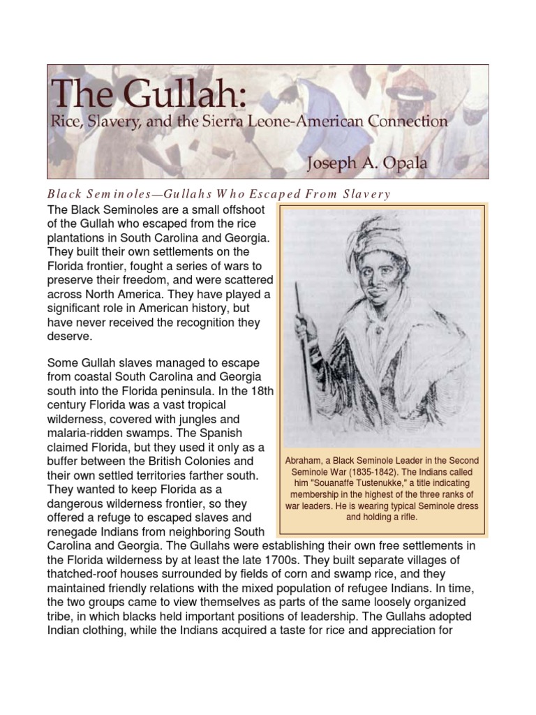 Black Seminoles | PDF | Seminole | Native Americans In The United States