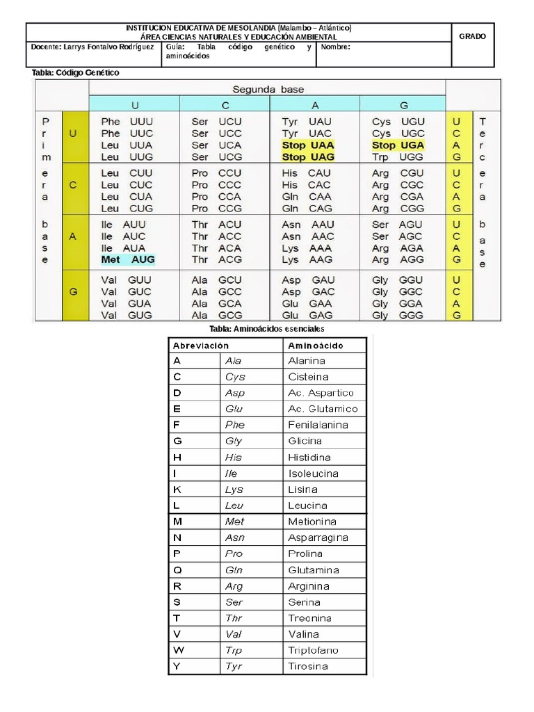 Tabla del Código Genético y Aminoácidos | PDF | Codigo genetico | Adn