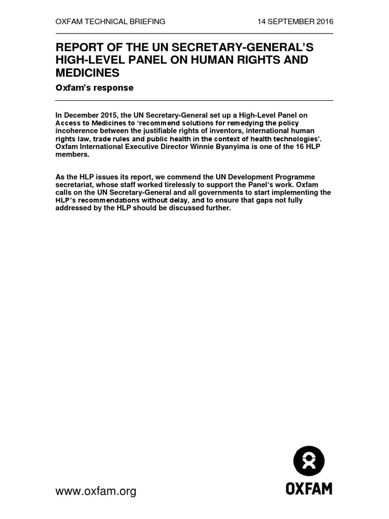Report of The UN Secretary-General's High-Level Panel On Human Rights ...