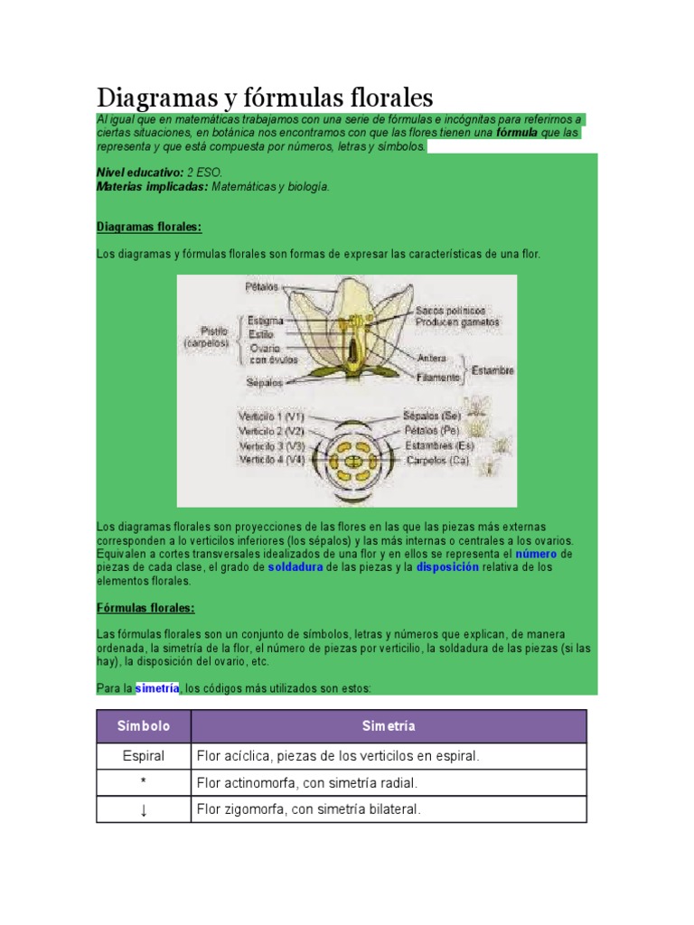 Diagramas y Fórmulas Para El Estudio de Flores | Flores | Plantas