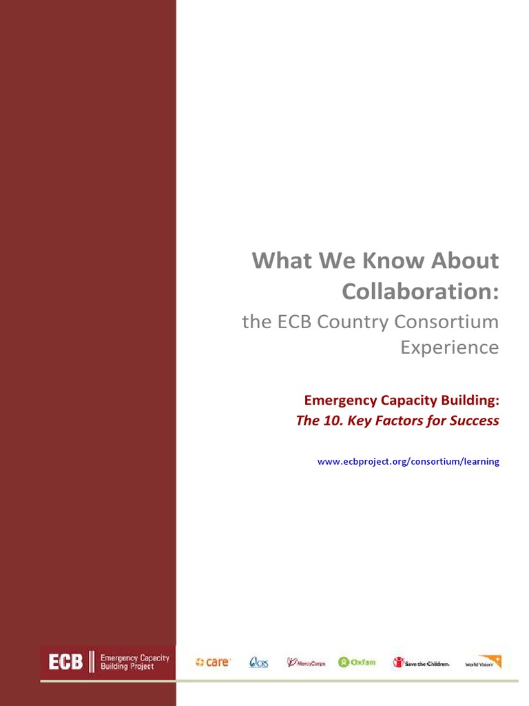 What We Know About Collaboration: The ECB Country Consortium Experience ...