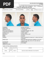 Formato Único de Noticia Criminal FPJ-2 | PDF | Gobierno ...