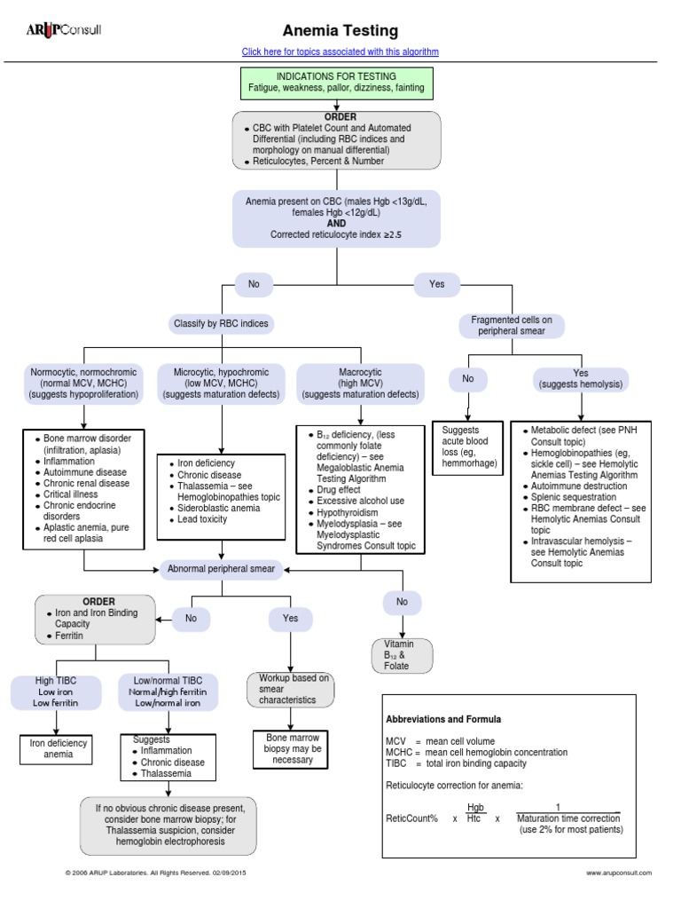 Anemia Testing algorithm.pdf | Anemia | Medical Specialties