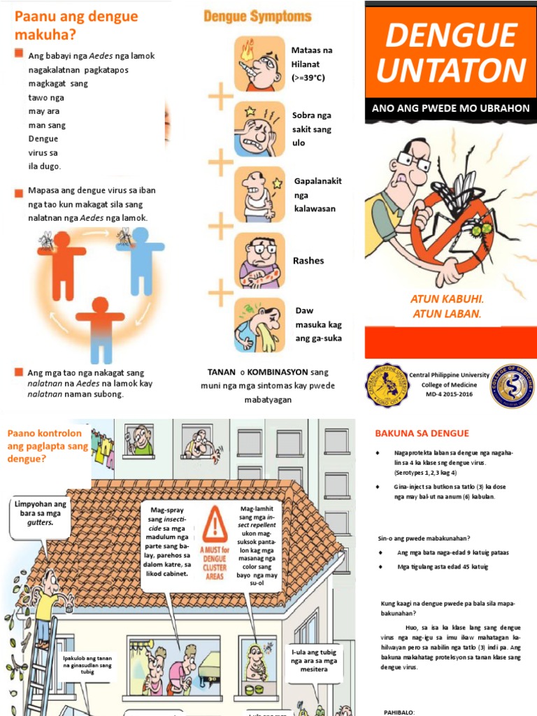 Dengue Fever Leaflets PDF | PDF