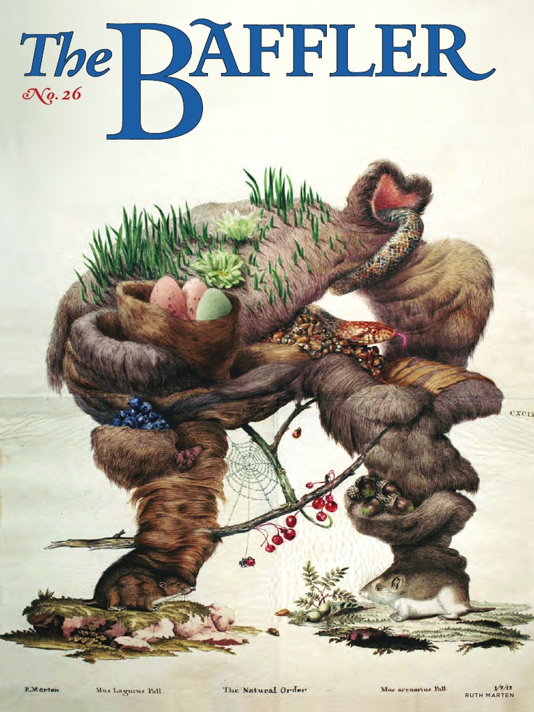 The Baffler Magazine Issue No. 26 | PDF | Placebo | Substance Abuse