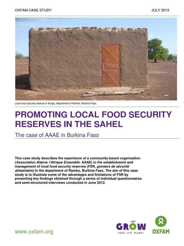 Promoting Local Food Security Reserves in The Sahel: The Case of AAAE ...