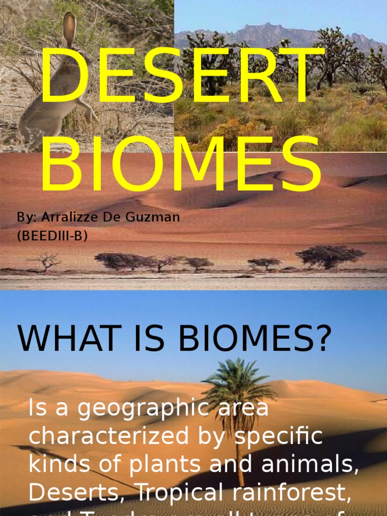 Desert Biomes | PDF | Desert | Rain