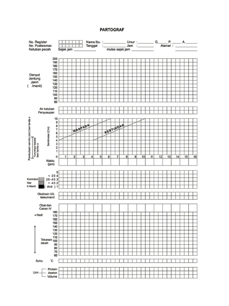 Partograf | PDF