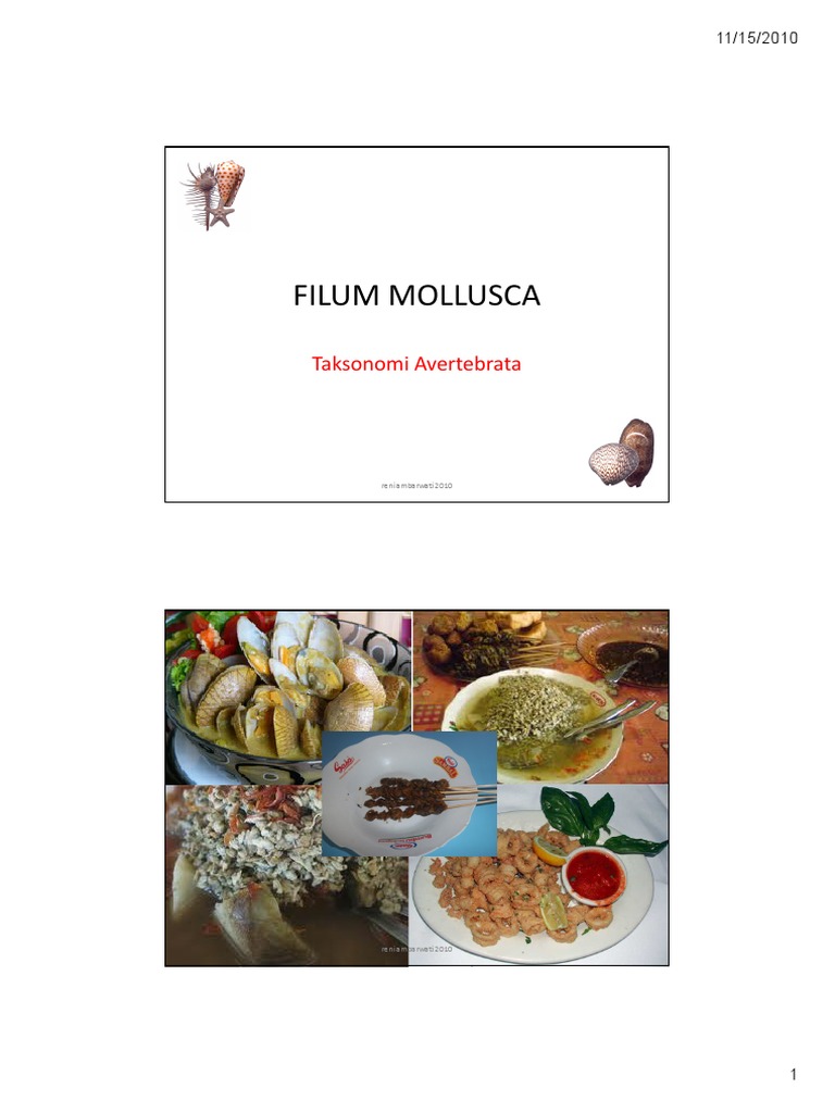 Filum Mollusca | PDF