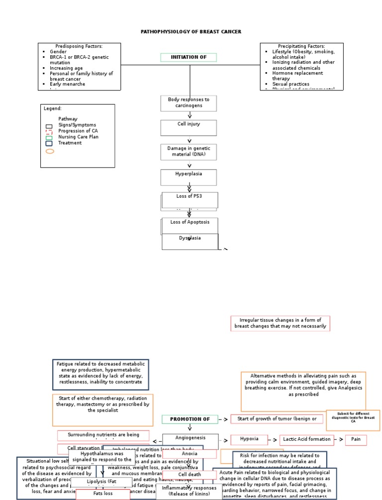 Pathophysiology of Breast Cancer | PDF | Breast Cancer | Cancer