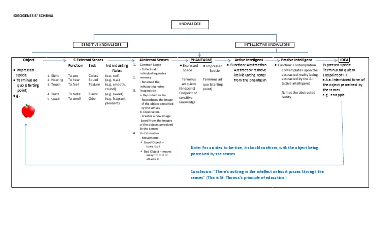 IDEOGENESIS | PDF | Senses | Perception