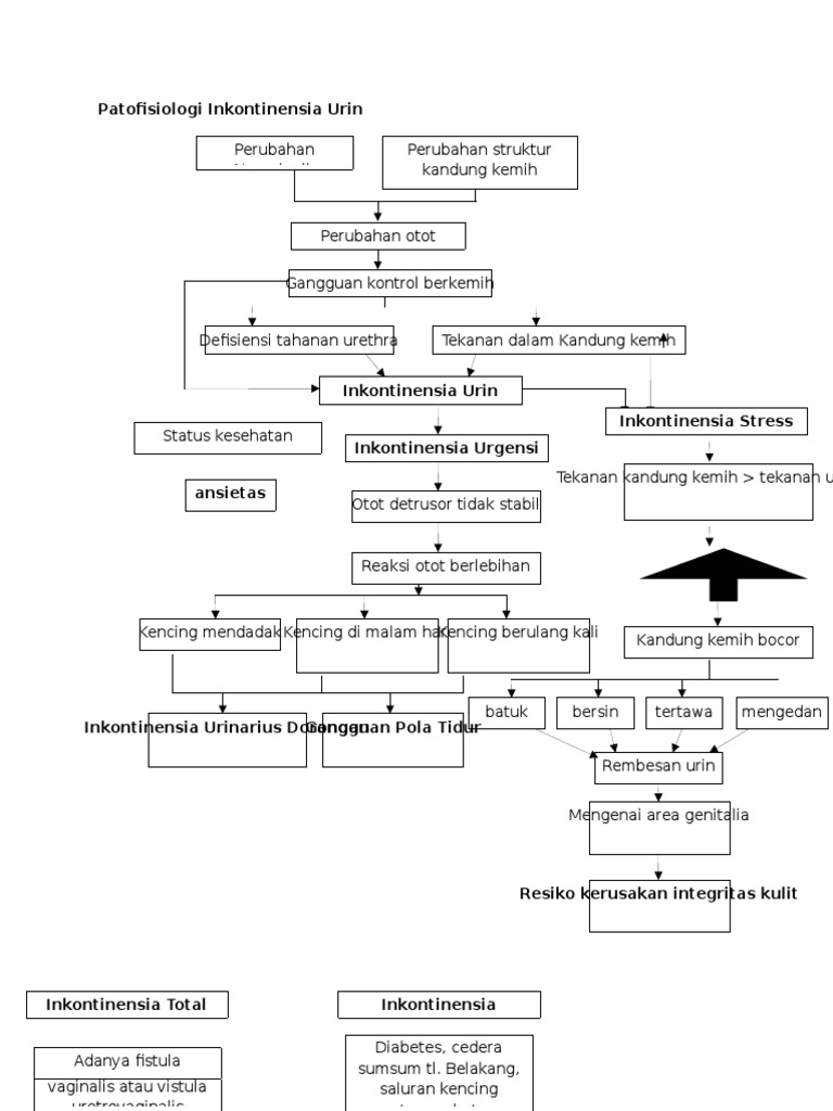 Patofisiologi Inkontinensia Urin Pathway | PDF