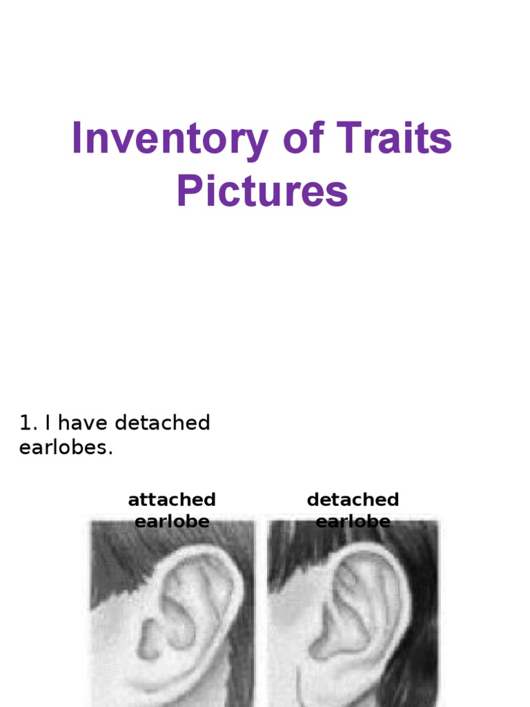 Inventory of Traits | PDF
