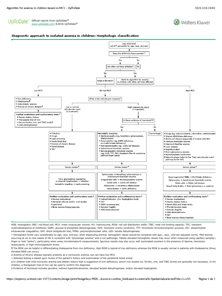 Algorithm for Anemia in Children Based on MCV - UpToDate | Anemia ...