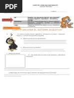 FRUTENZIMA: Usos y Beneficios Clínicos | PDF | Páncreas | Órgano (anatomía)