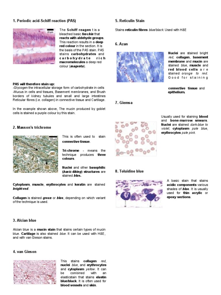 Histology Stains | Staining | Histology