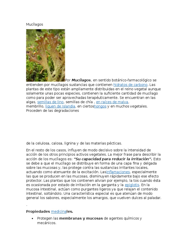 Propiedades y Usos de los Mucílagos | PDF | Medicamentos con receta ...