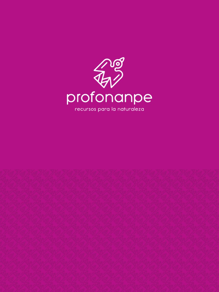 Manual Profonanpe Red | PDF | Tipografía | Color