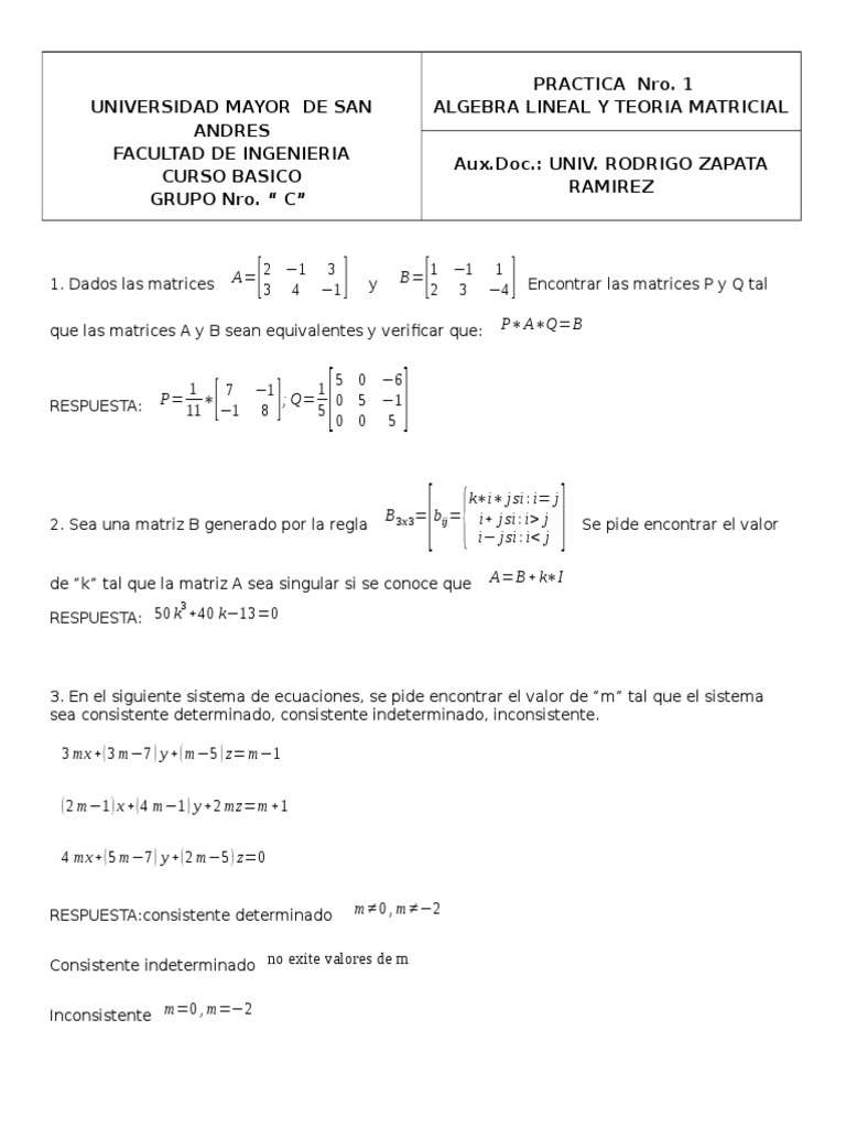 Prac1 Lineal | PDF | Matriz (Matemáticas) | Álgebra lineal