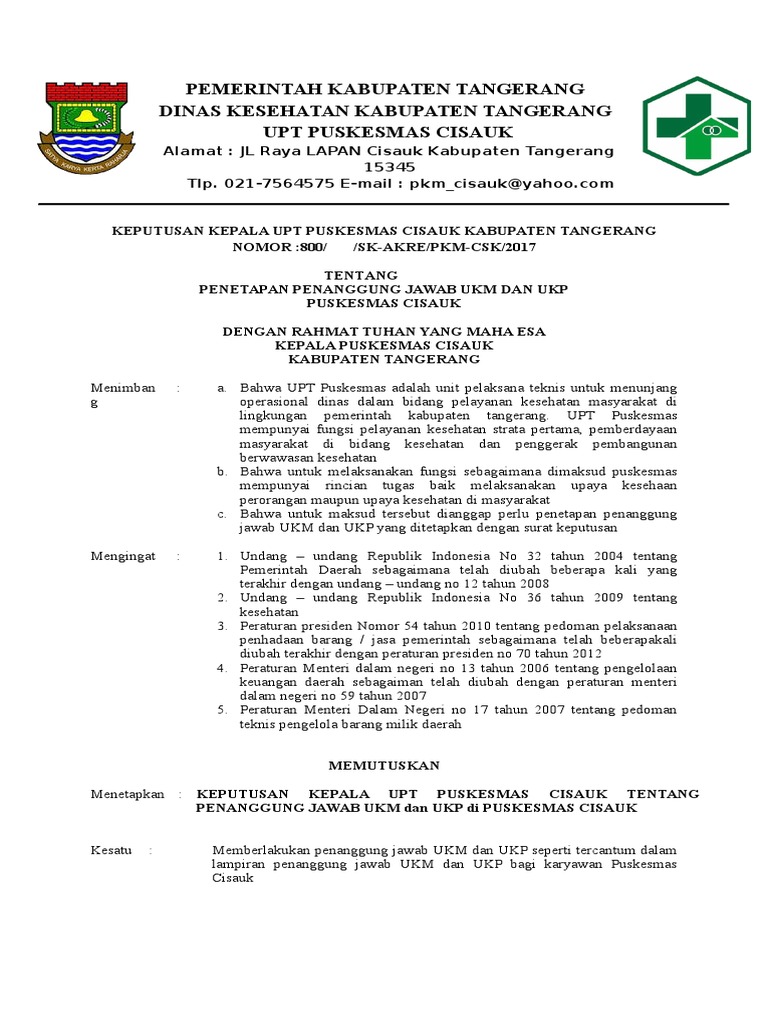 SK Penetapan Penanggung Jawab UKP Dan UKM | PDF
