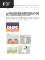 La Línea de Fulcro | PDF | Dentadura postiza | Naturaleza