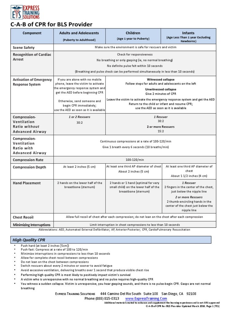 Bls Study Guide | PDF | Cardiopulmonary Resuscitation | Cardiovascular ...