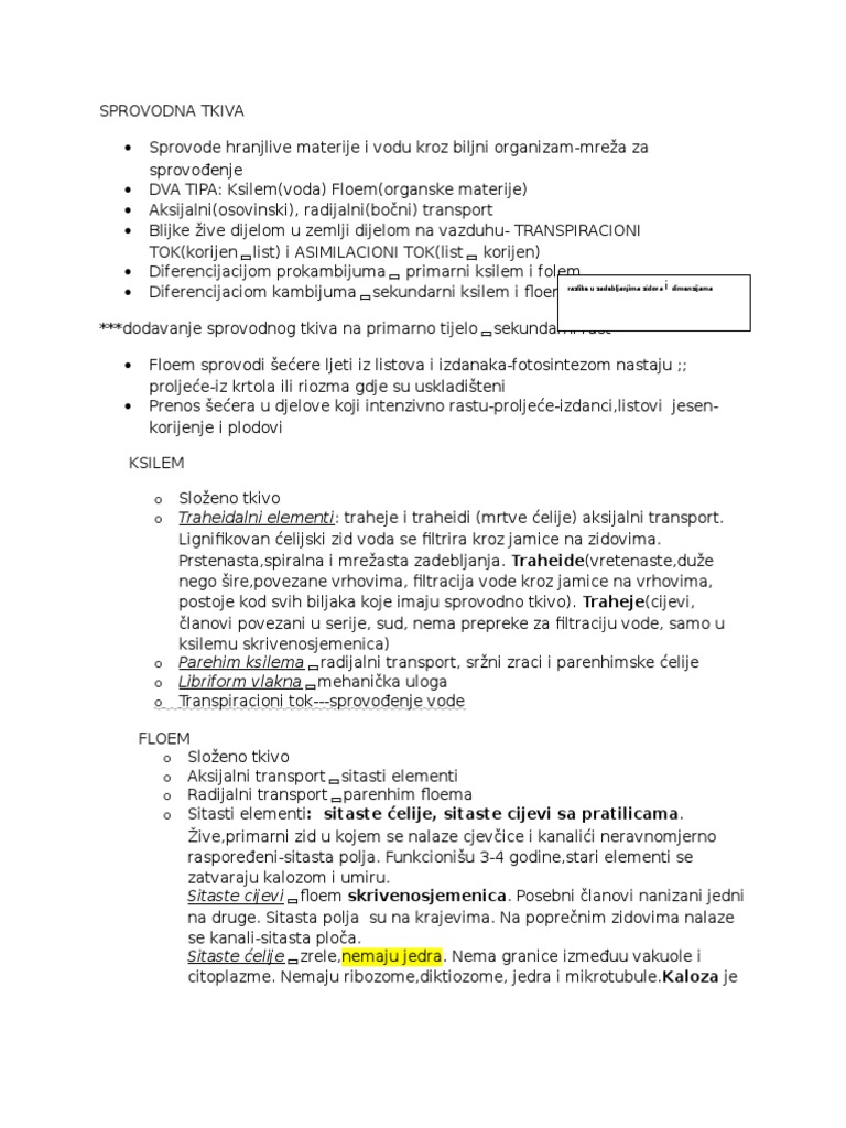 Sprovodna Tkiva | PDF