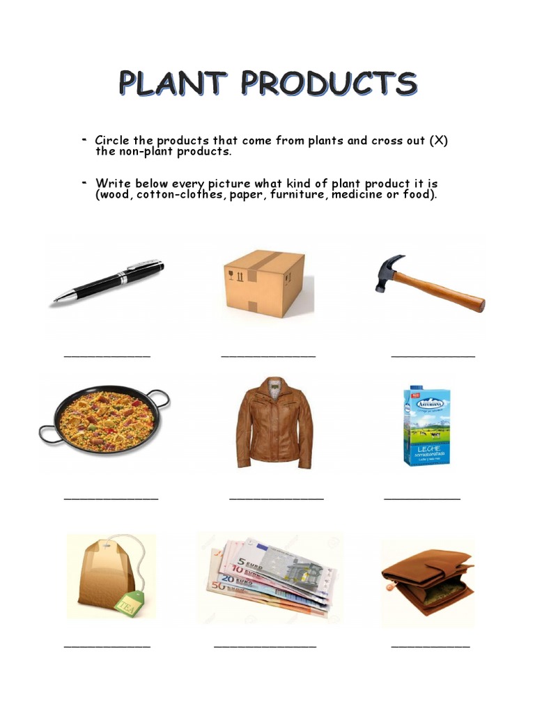 plant products worksheet 2