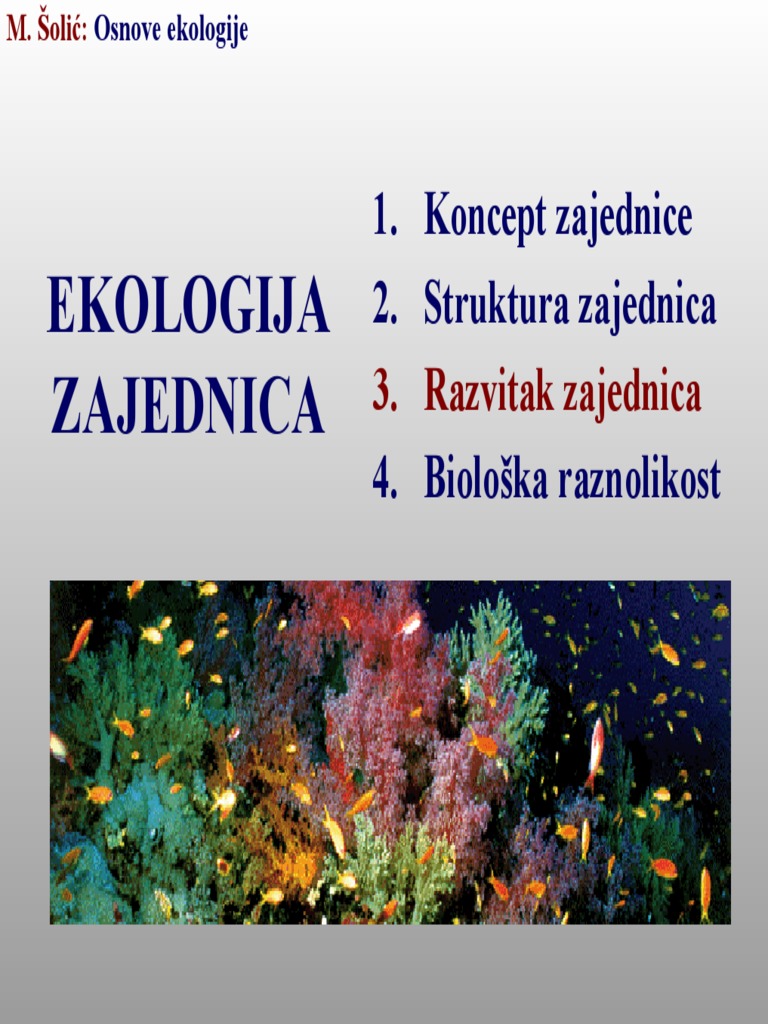 Razvitak Zajednice | PDF
