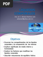 Mapa Conceptual Liquidos y Electrolitoss | PDF | Potasio | Dieta y nutrición