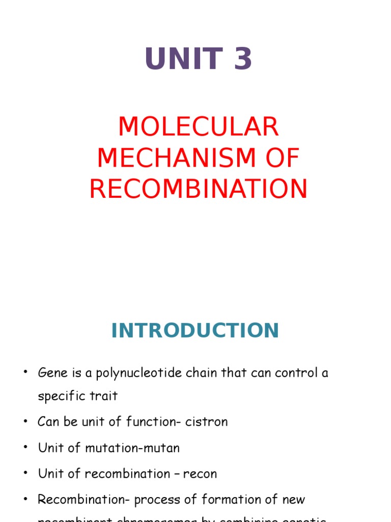 Molecular Mechanisms of Homologous Recombination: Crossing Over, Gene ...