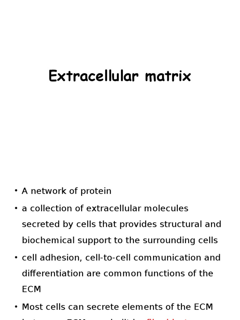 Unit 17 Extracellular Matrix | PDF | Matrix (Biology) | Extracellular ...