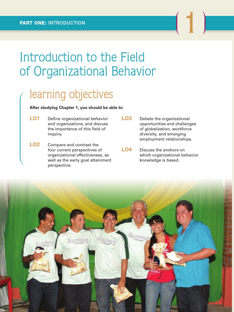 Introduction to Organizational Behavior | PDF | Organizational Behavior ...