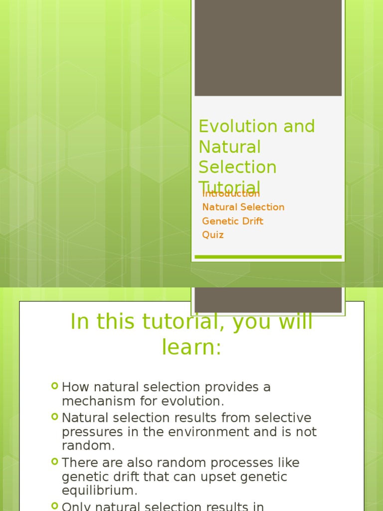 Evolution and Natural Selection Tutorial | PDF | Natural Selection | Evolution