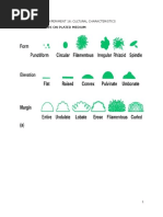 Outline Specification | PDF | Specification (Technical Standard) | Roof