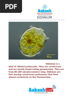 Aakash FST Test | PDF | Amplitude | Physics