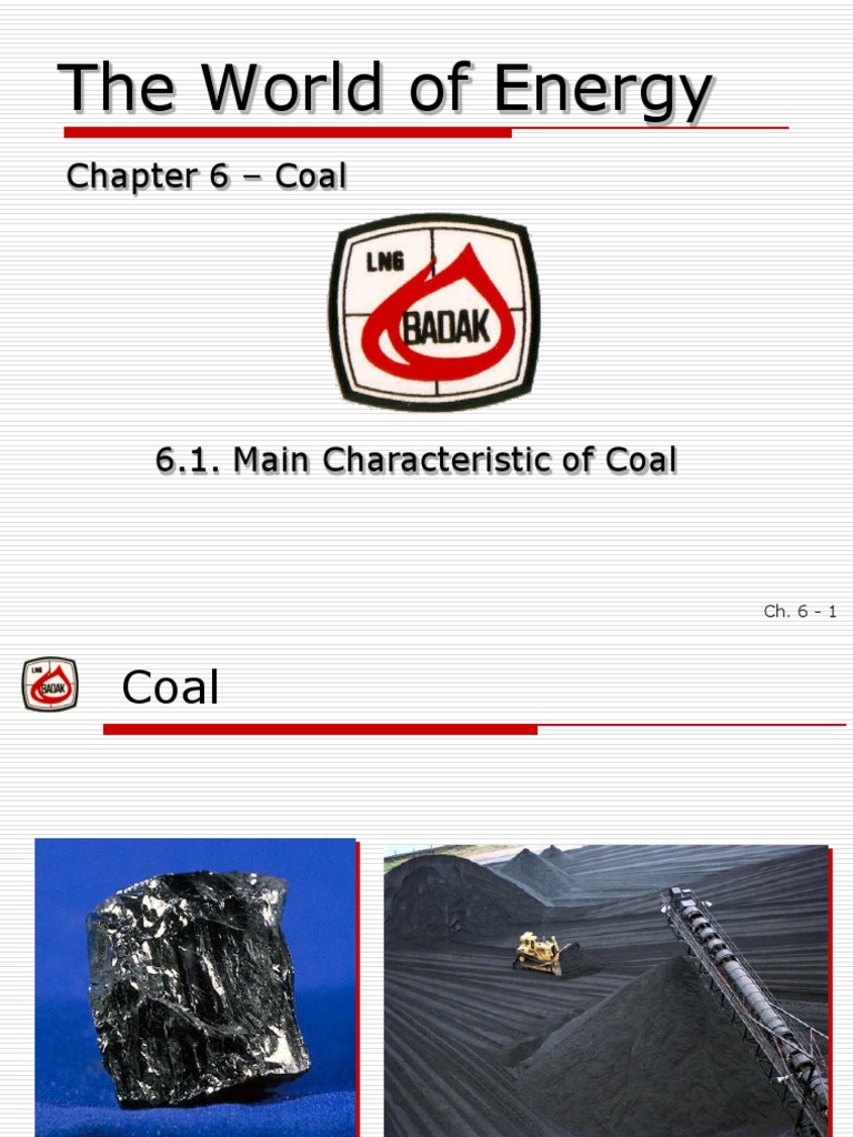 Chapter 6 - Coal | Download Free PDF | Gasification | Coal