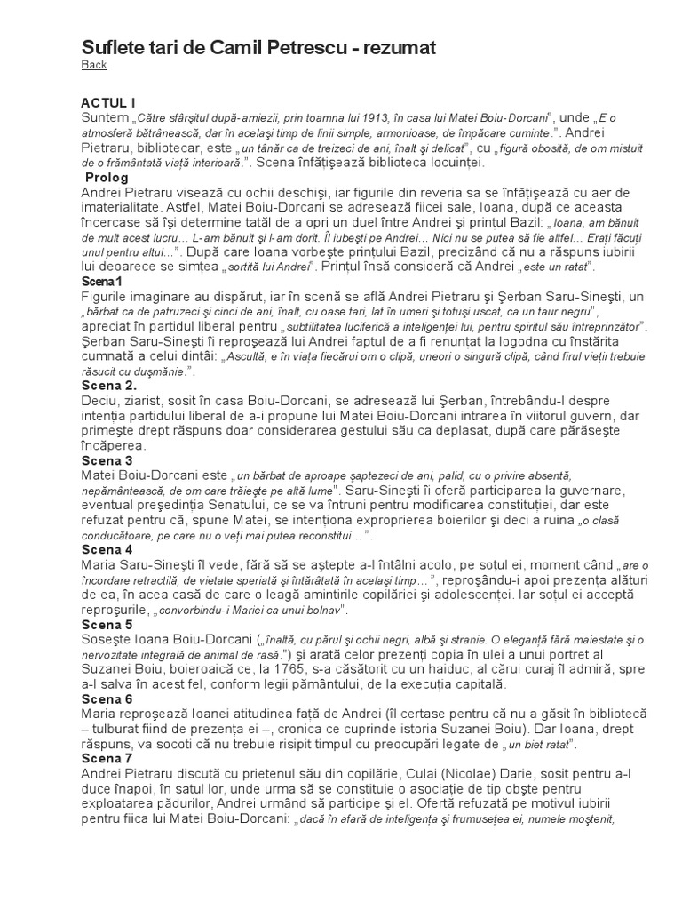 Suflete Tari de Camil Petrescu Rezumat