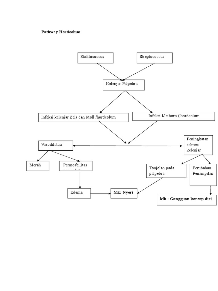 Pathway Hordeolum | PDF