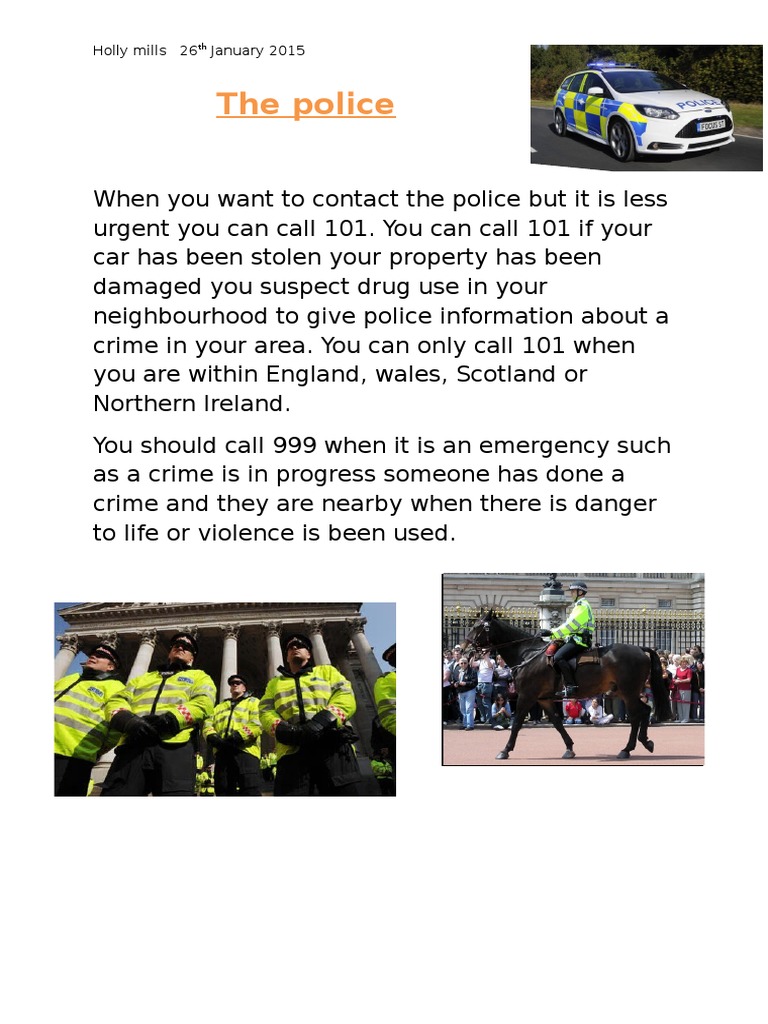 The Police | PDF | Problem Behavior | Police