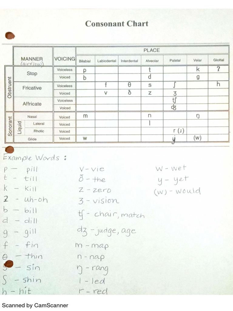 Consonantchart | PDF