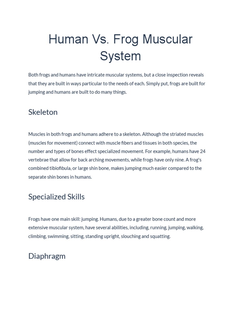 Human vs. Frog Muscular System: Skeleton | PDF | Frog | Muscle
