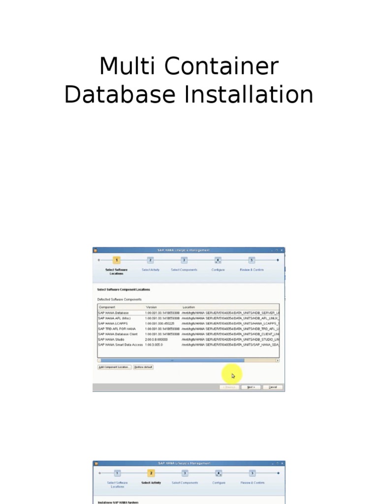 Sap Hana Multi Container Database Installation Pdf