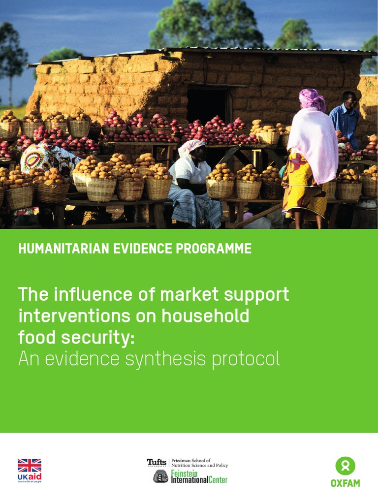 The Influence of Market Support Interventions On Household Food ...