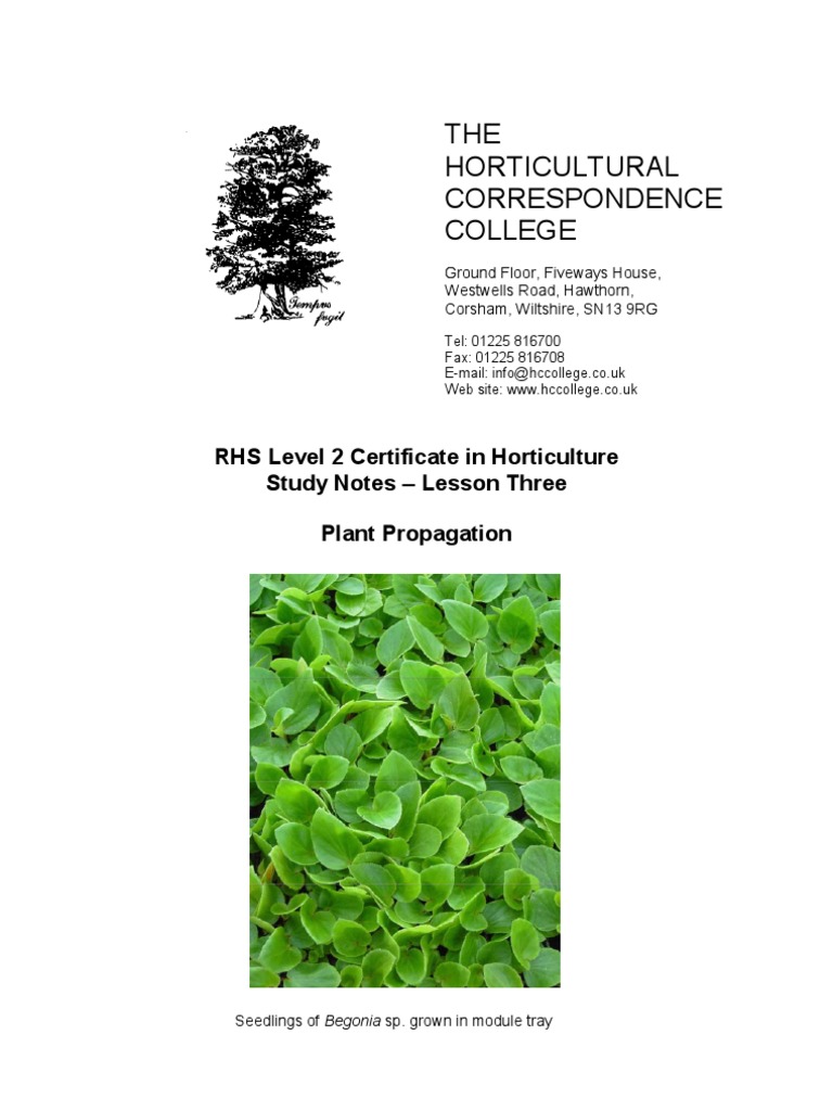 Propagation Sample Lesson | PDF | Seed | Grafting