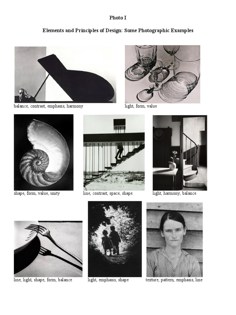 Elements and Principles - Photographic Examples | PDF