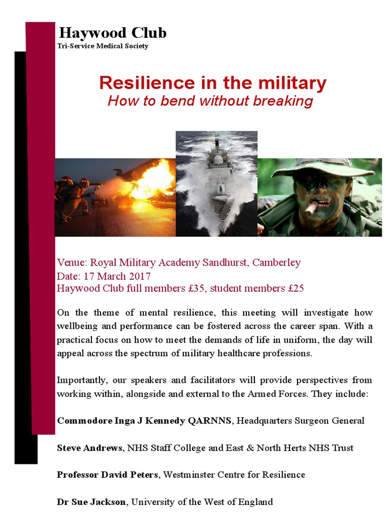 Resilience | PDF