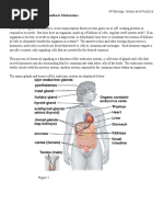 Grade 11 Photosynthesis Notes | PDF